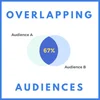 The Issue with Overlapping Facebook Audiences | Blog | Faye Chuah