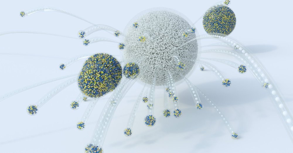 Make sense of it all: Mapping Movement — mapzilla