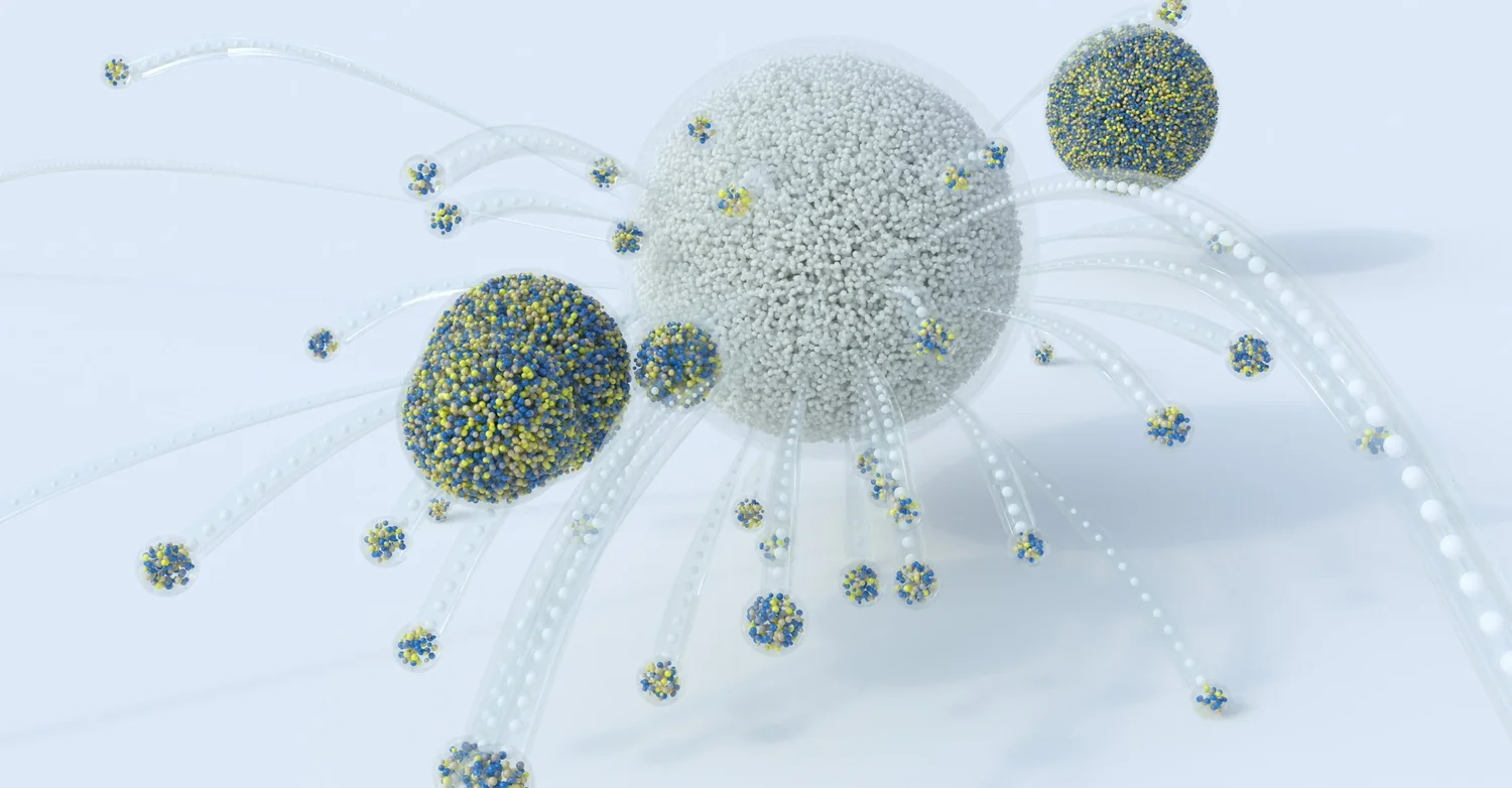 Make sense of it all: Mapping Movement — mapzilla