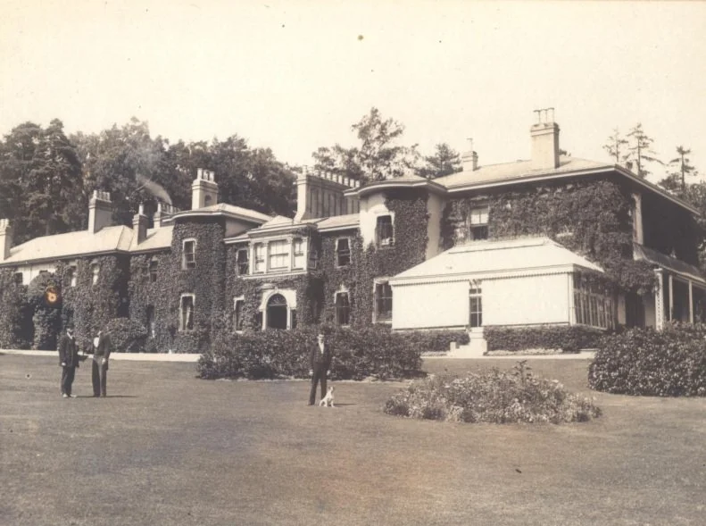 Riesco - Collector — Museum of Croydon