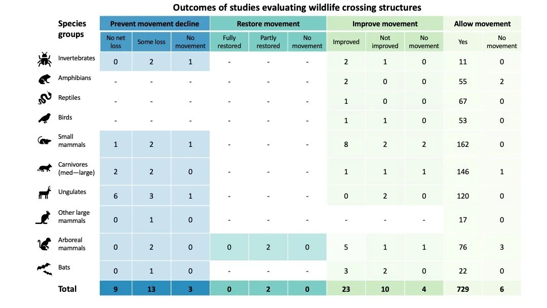 How well do wildlife crossing structures help animals across roads ...