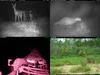 How well do wildlife crossing structures help animals across roads ...