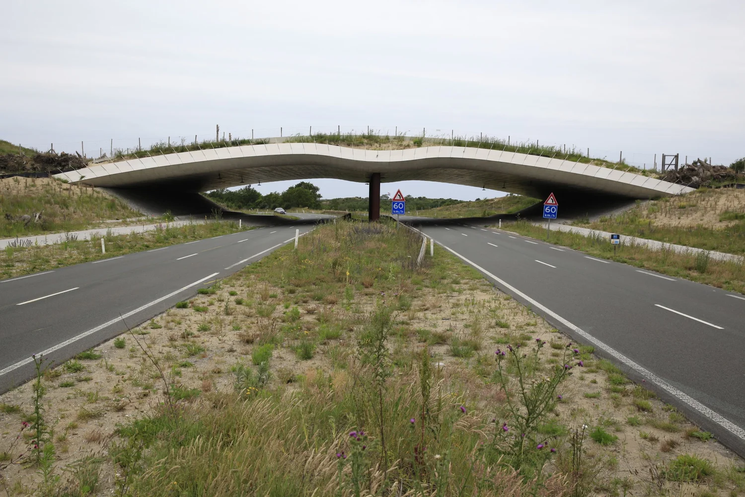 How well do wildlife crossing structures help animals across roads ...