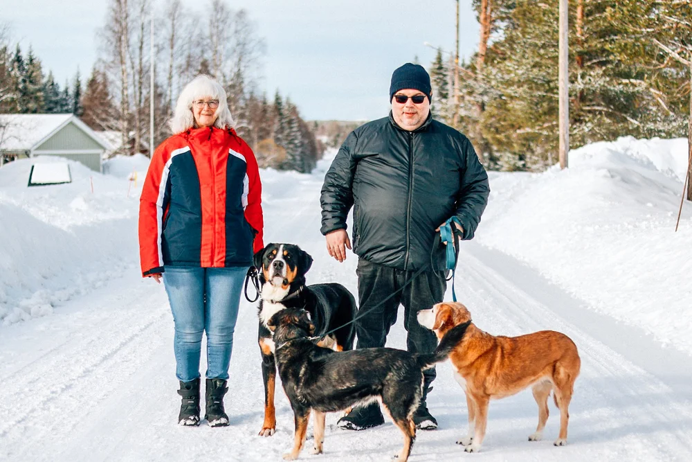 Move here — Hej Hemby