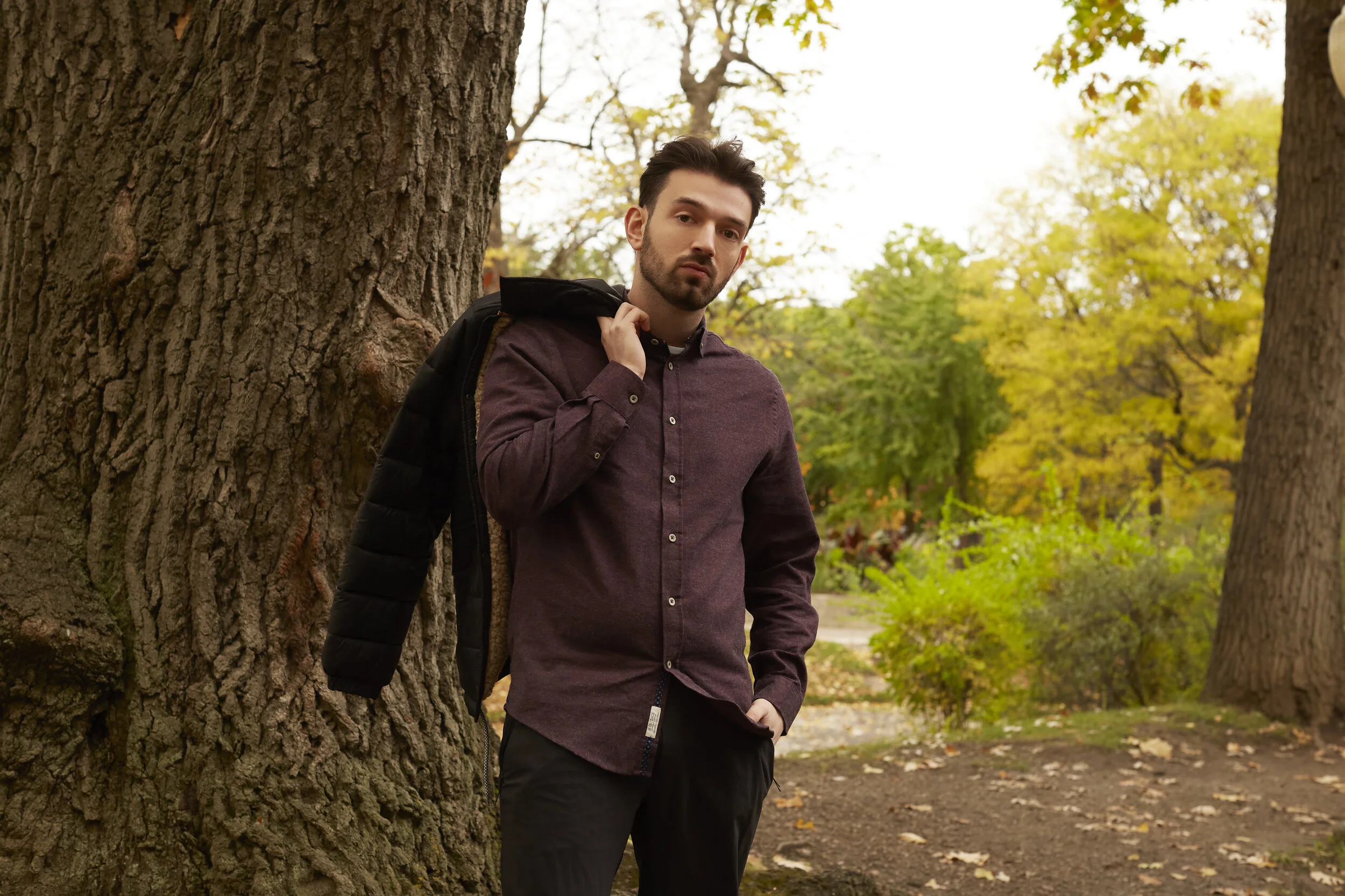 Report Collection — MODEXTIL