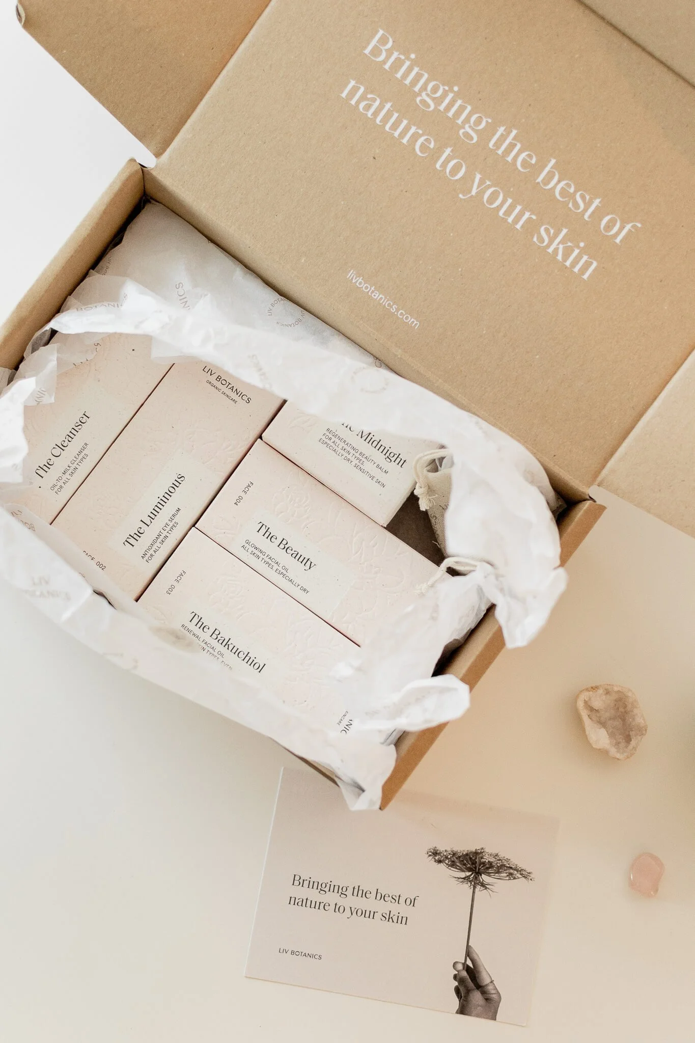 LIV Botanics — Giada Tamborrino Studio - Elevated design for brands ...