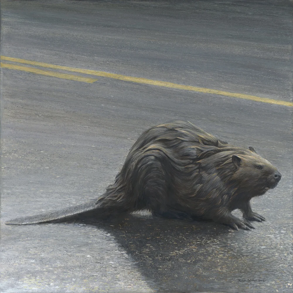Robert Bateman | Discover & Connect - Explore Art — Beckett Fine Art Ltd.