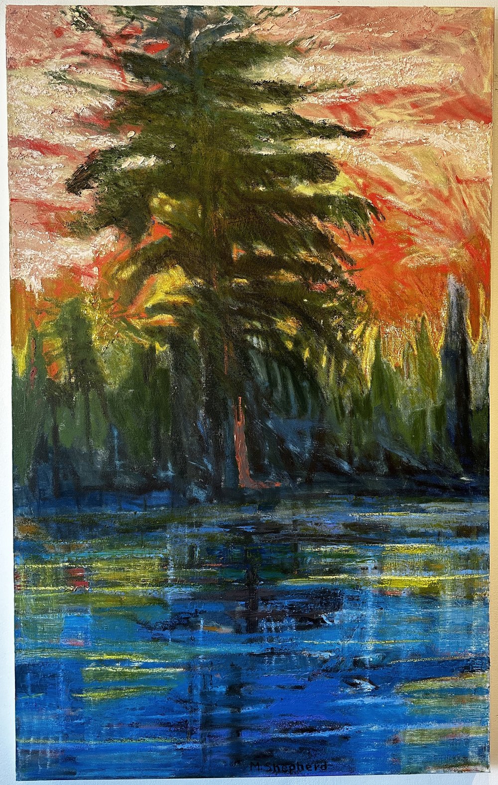 Maggie Shepherd | Evening Forest, Opeongo Lake, Algonquin Park ...