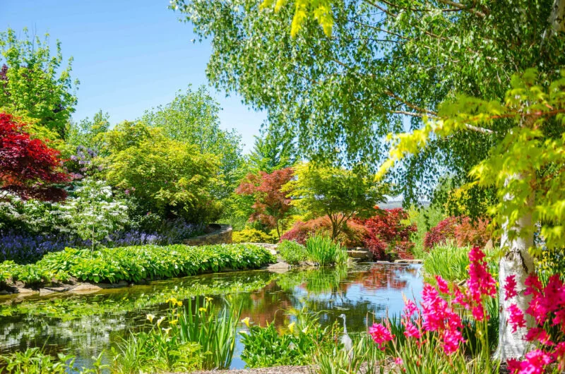 Book Garden — Mayfield Garden