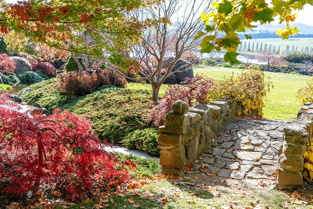 The Gardens — Mayfield Garden