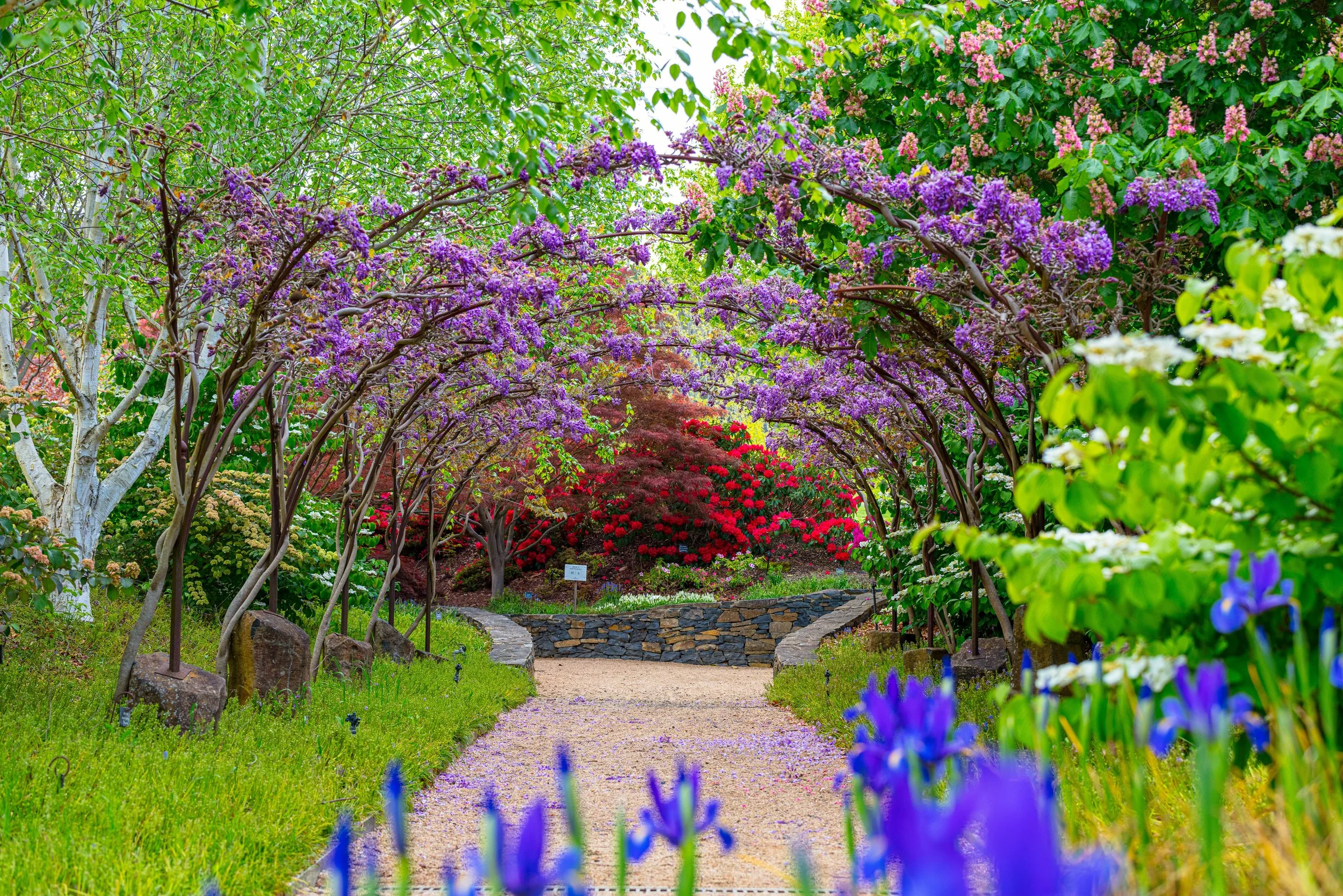 The Gardens — Mayfield Garden