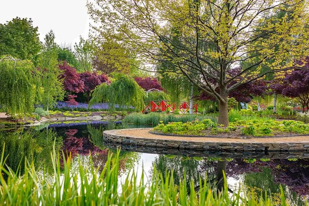 When should I come — Mayfield Garden