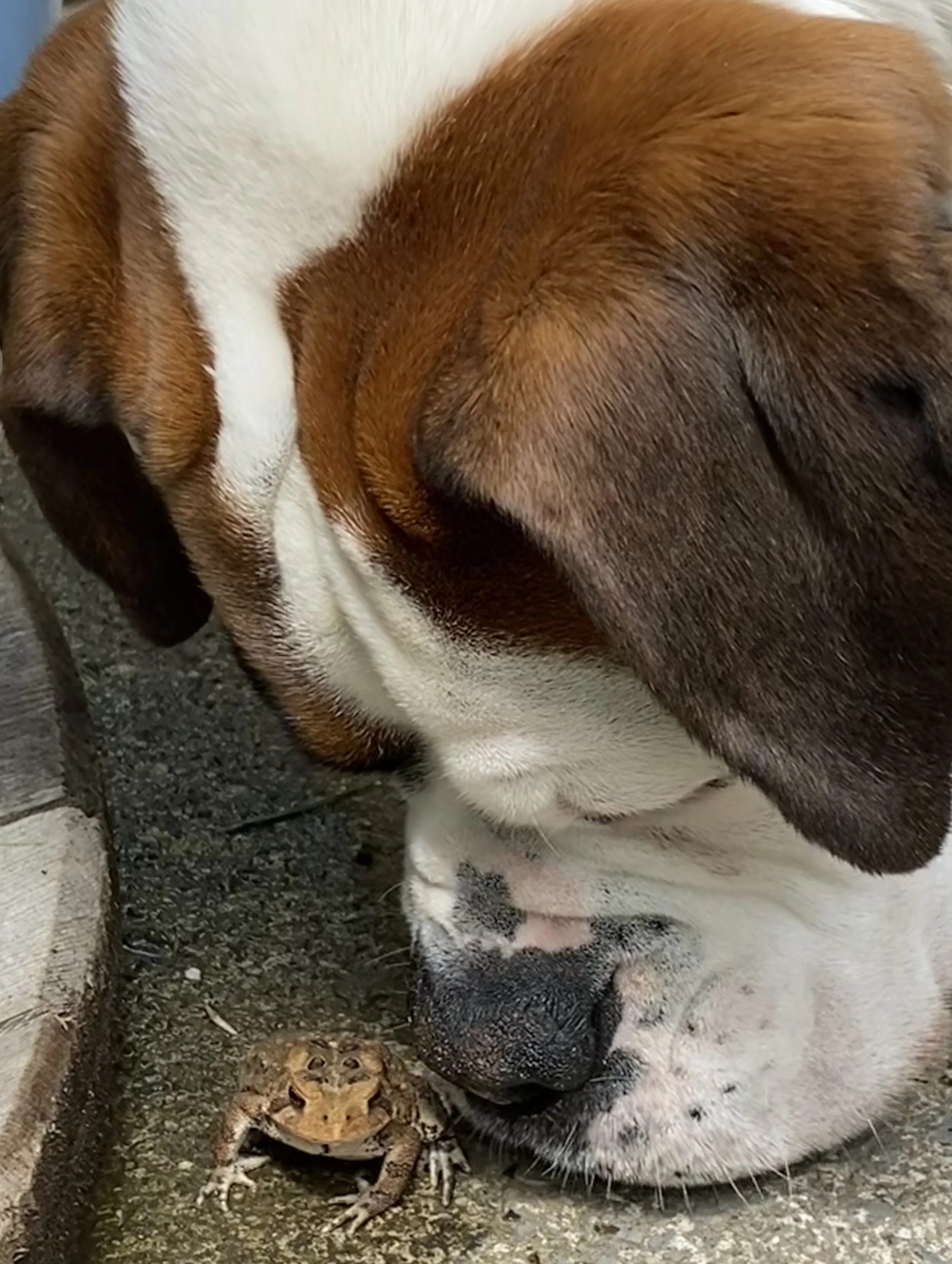 Book Now — River Ridge