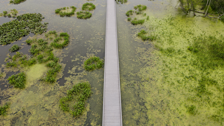 Lentic and Lotic Systems - Healthy Headwaters Lab