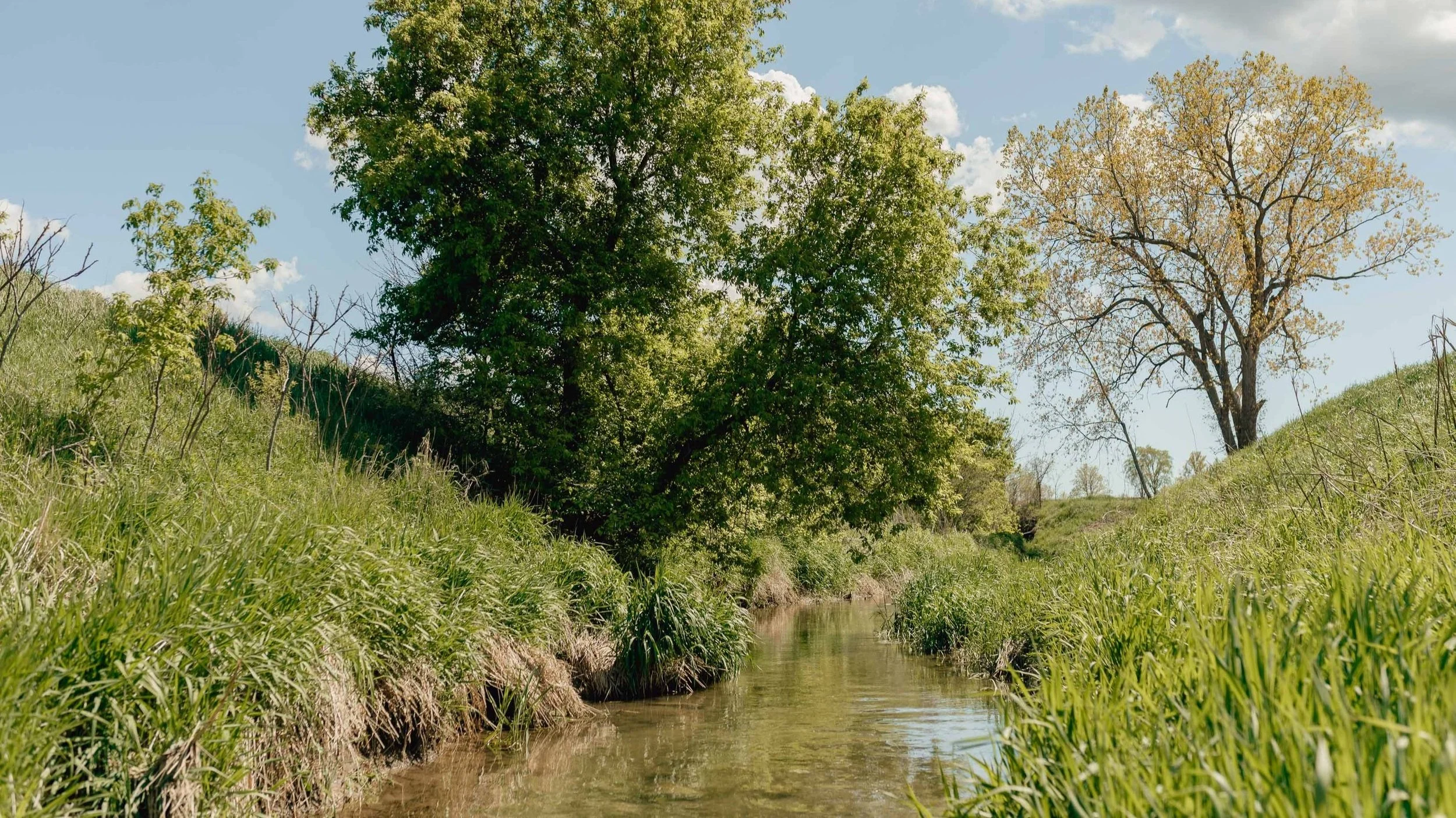 What is Stream Ecology? - Healthy Headwaters Lab