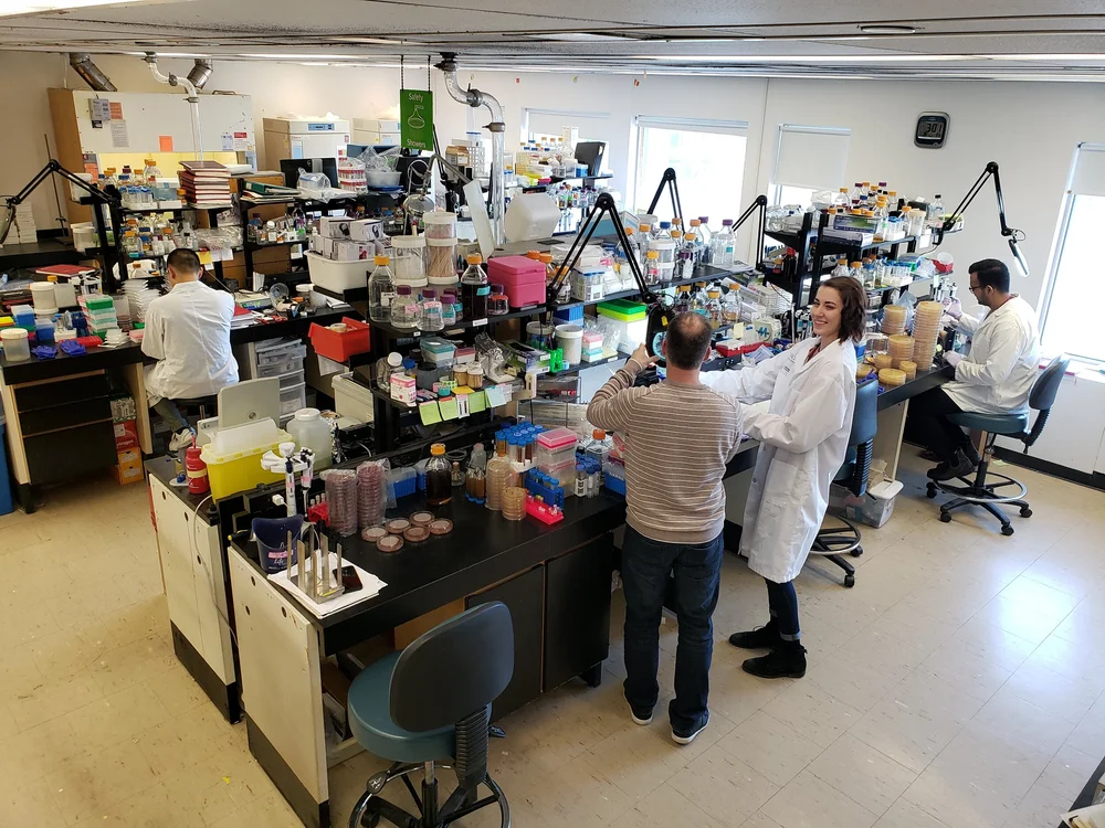 Michael G. Surette Laboratory
