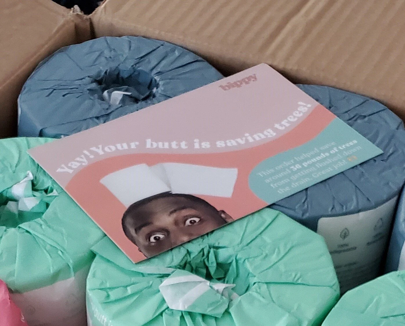 The Reduce Report bippy Toilet Paper Review: So, we tried bippy ...