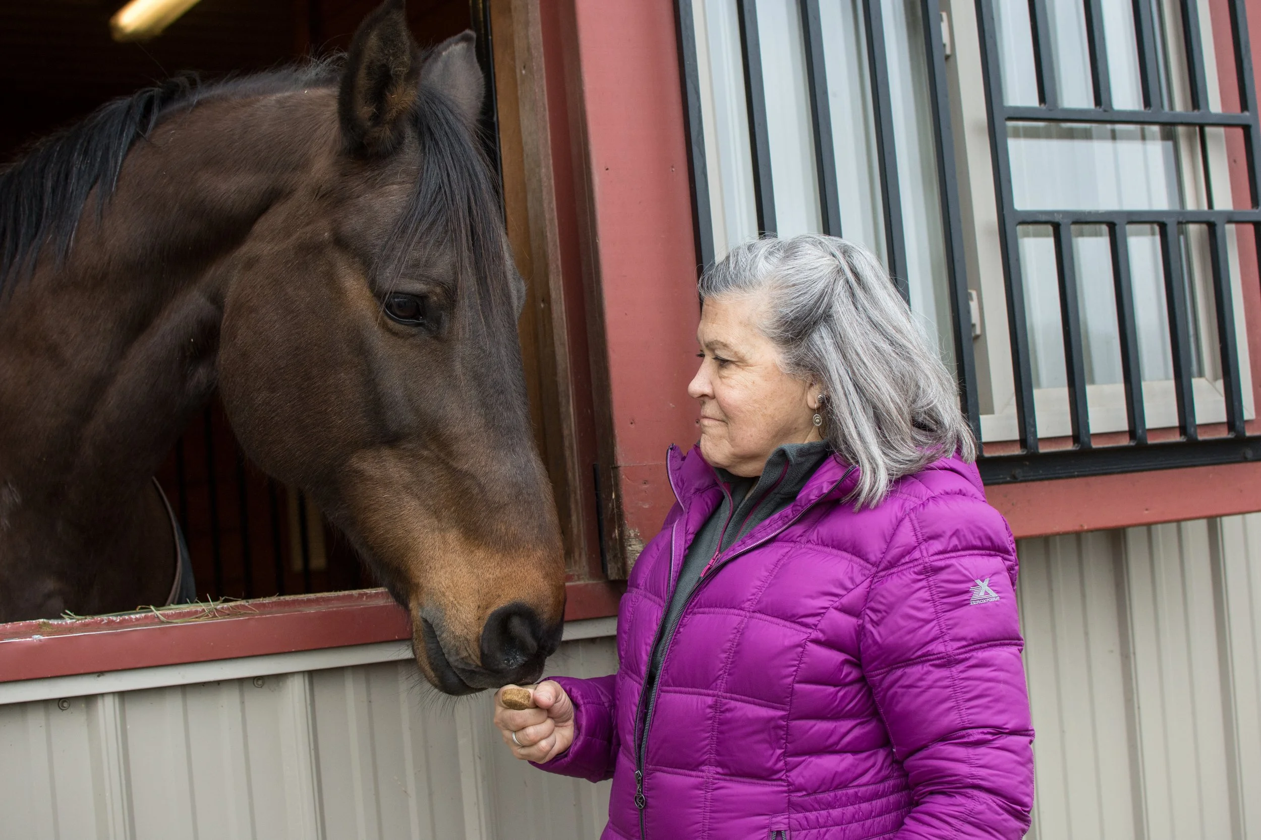 Individual Volunteer — Leg Up Farm