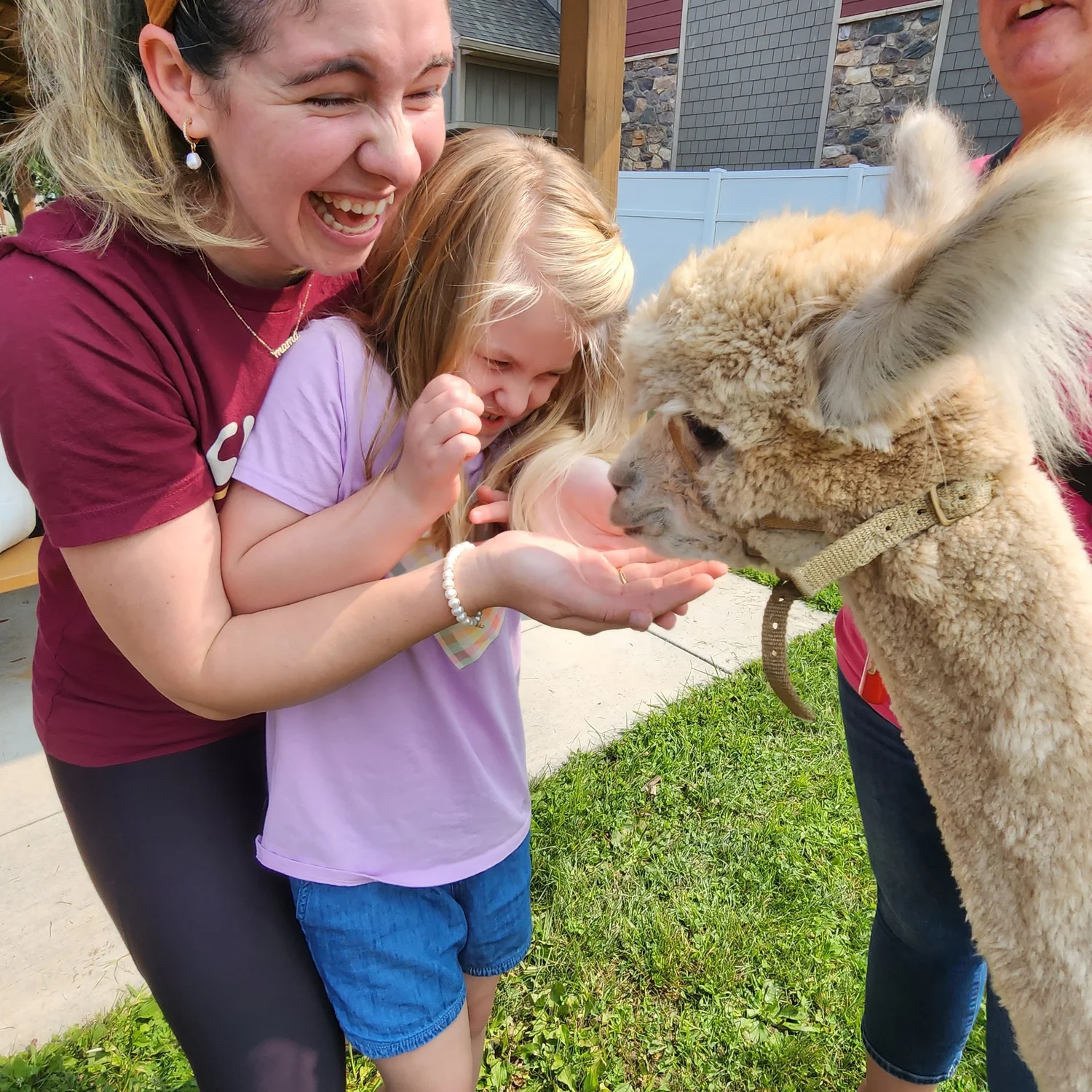 Summer Camp — Leg Up Farm