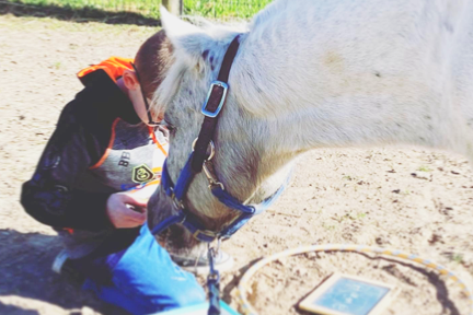 Equine Groups — Leg Up Farm