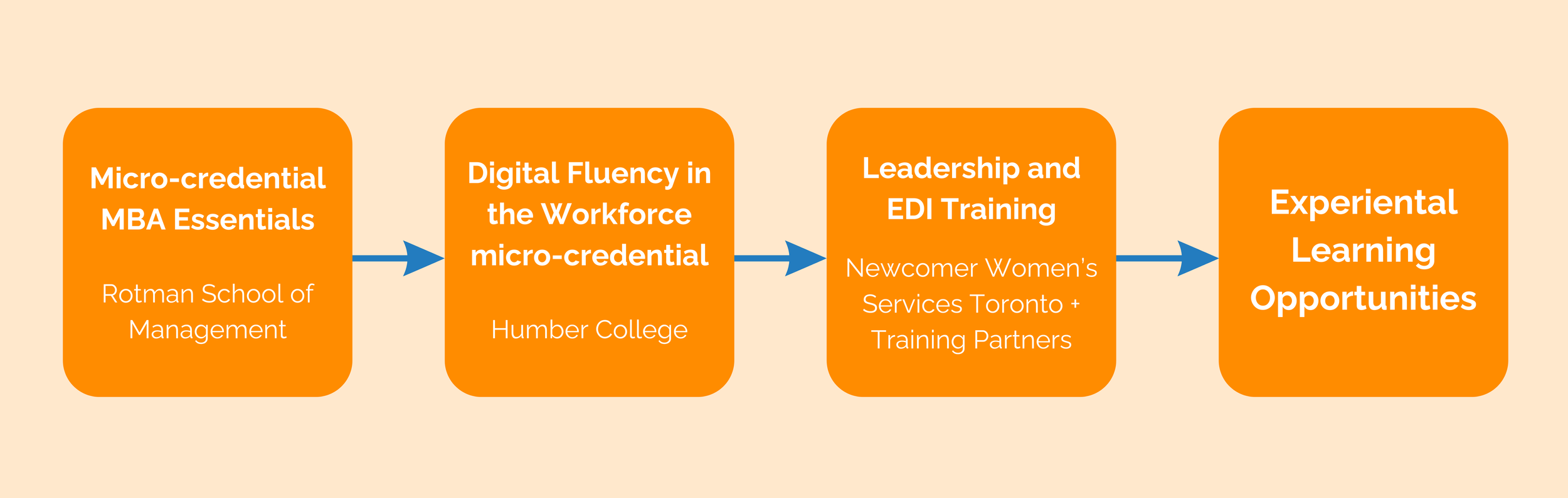 Sister2Sister Advanced Leadership Program — Newcomer Women's Services