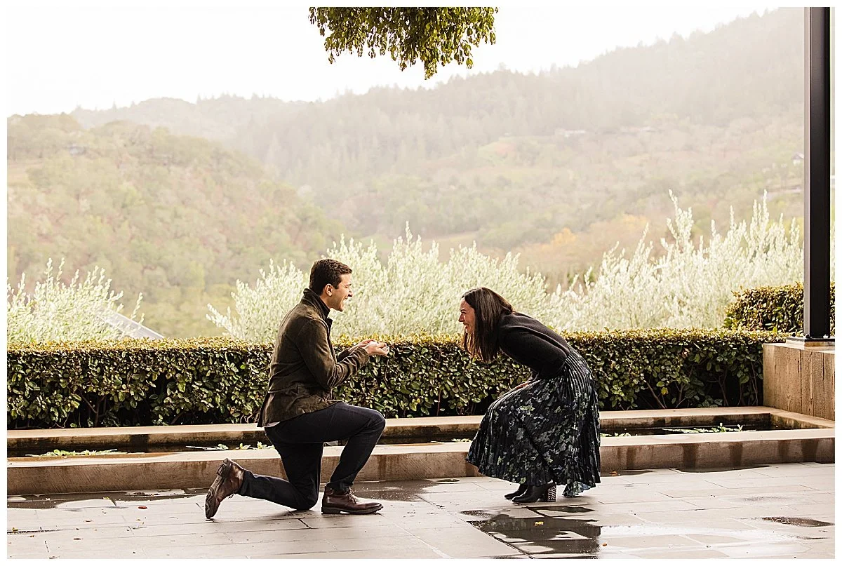 Napa Proposal Photographer — Stephanie Hopkins Photography
