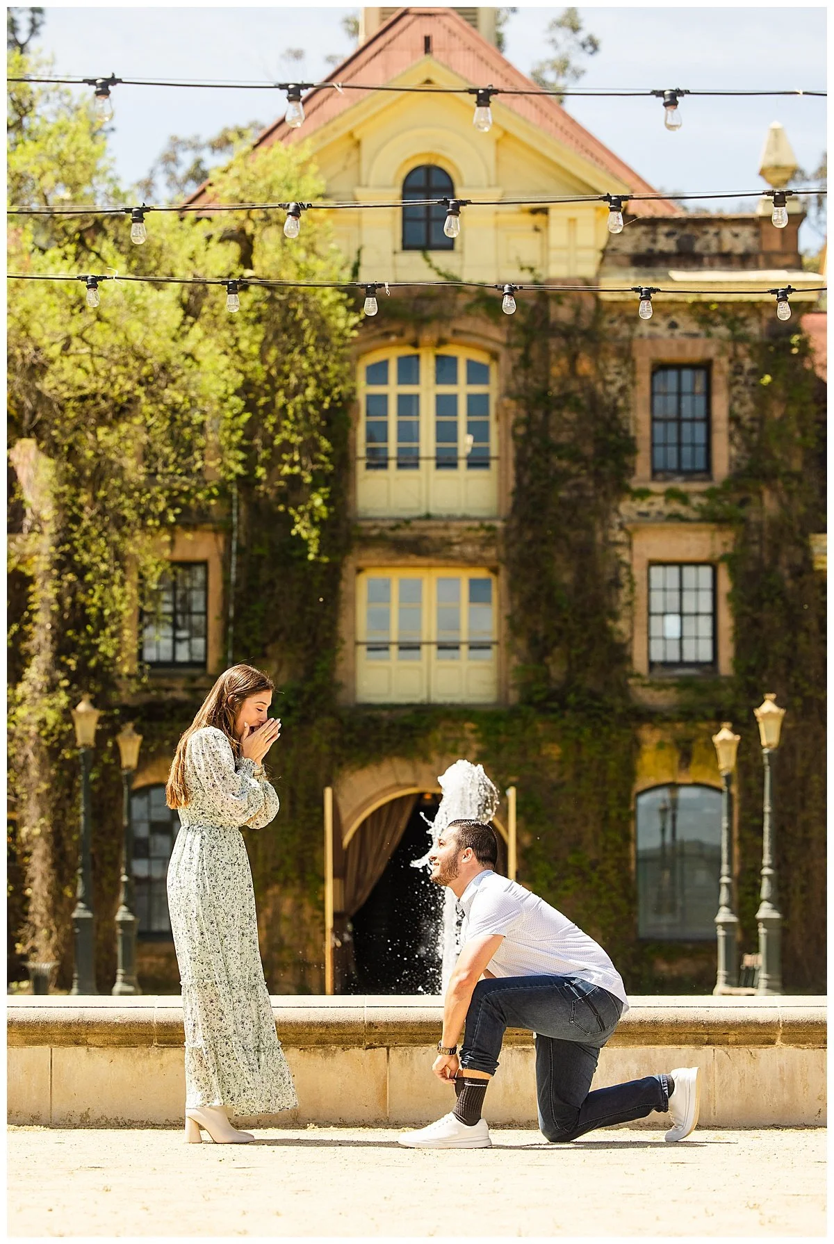 Napa Proposal Photographer — Stephanie Hopkins Photography