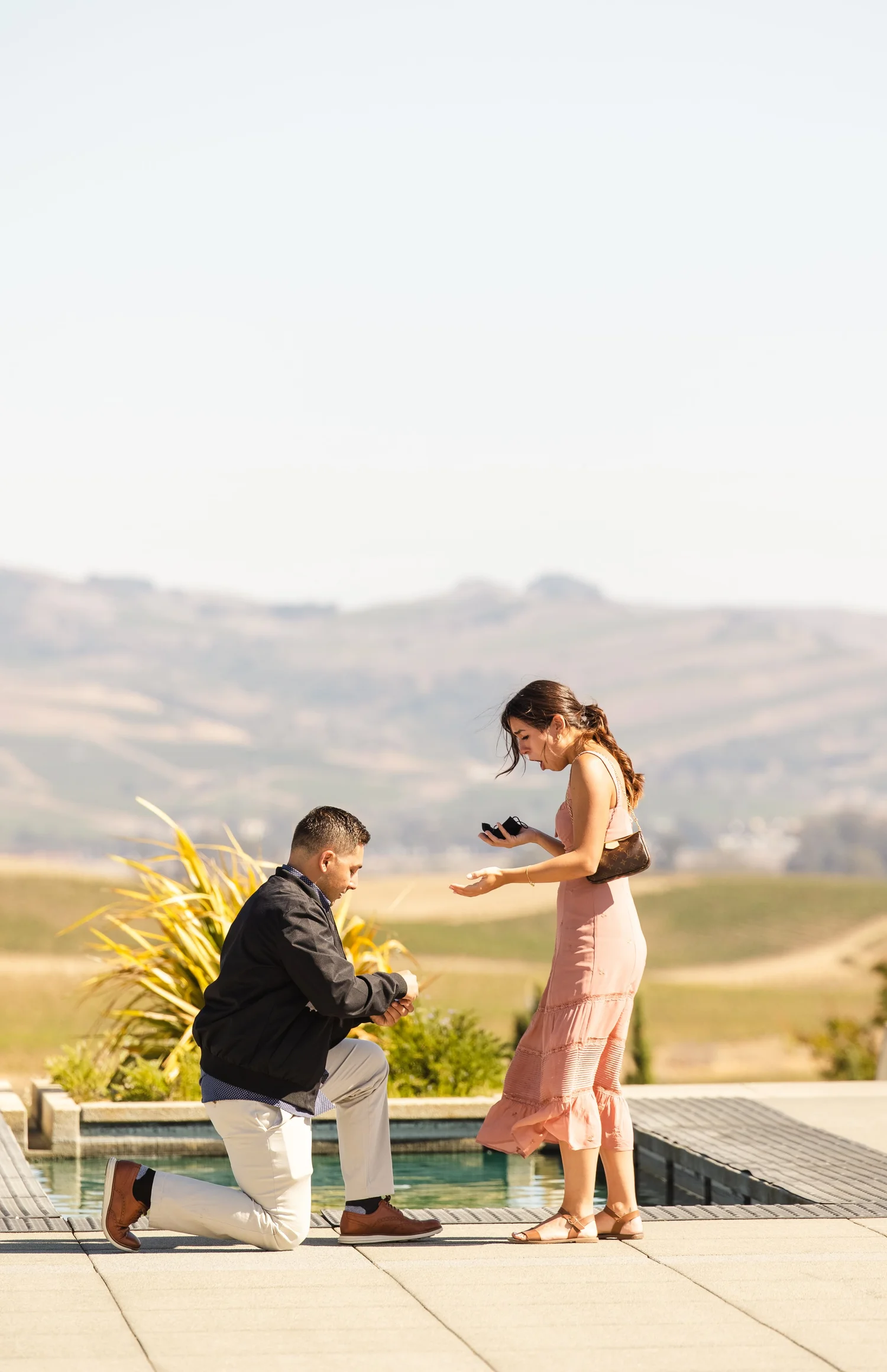 Best Wineries to Propose at in Napa Valley! — Stephanie Hopkins Photography