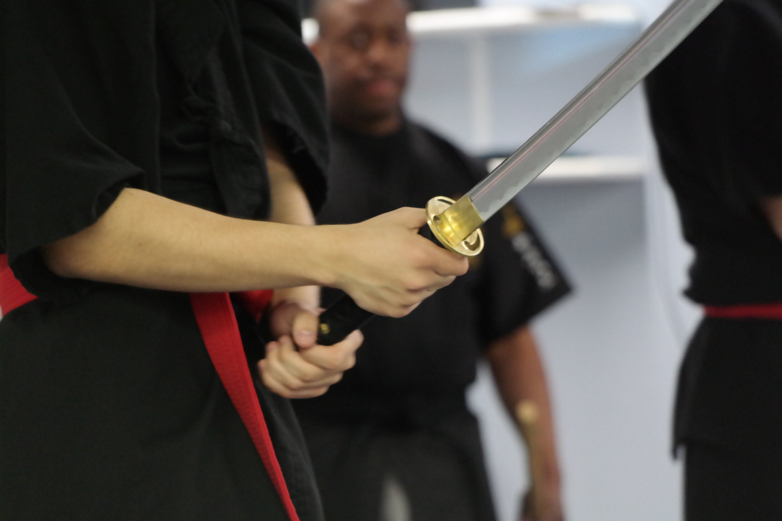 Haidong Gumdo — TSD