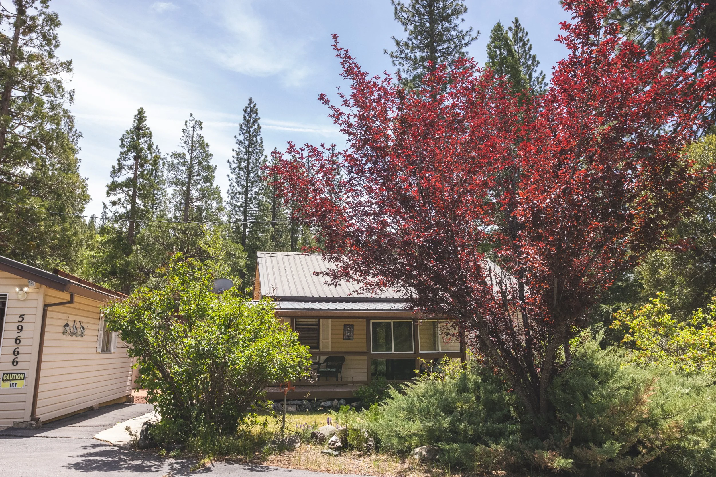 Forest Lane Cottage Gallery