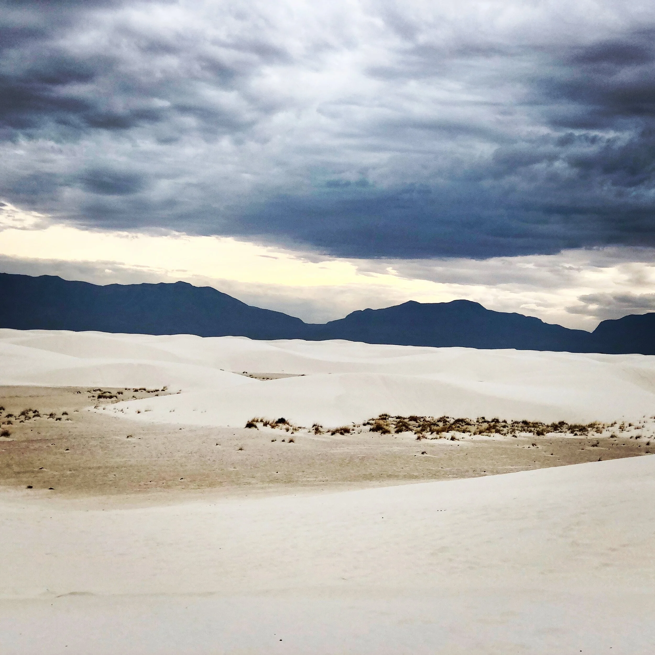 Why Choose Certified? — Todd-Reyes Interpreting