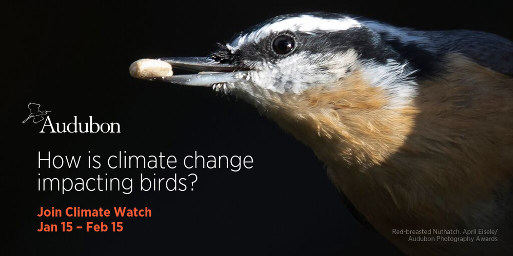 Climate Watch — Pilchuck Audubon Society