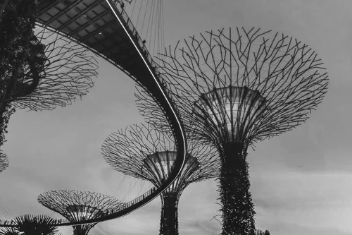 Temporality — Dasein Foundation