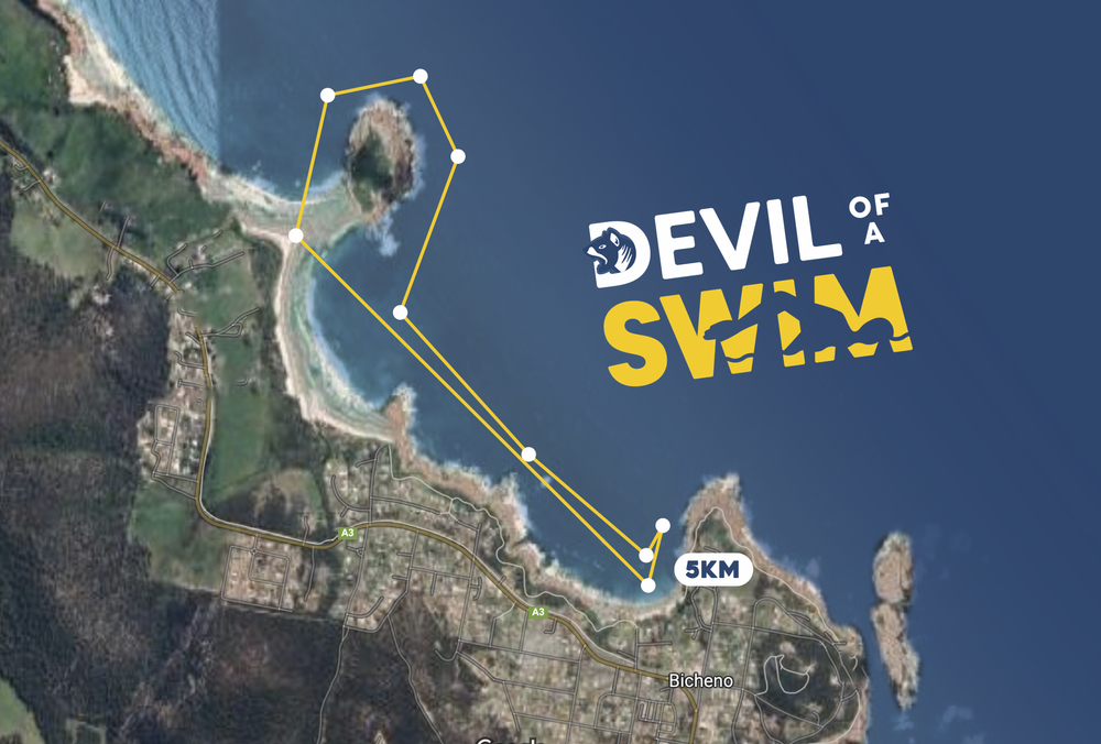 Devil of a Swim — Bicheno Surf Life Saving Club