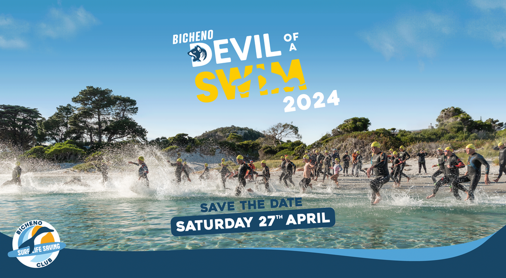 Devil of a Swim — Bicheno Surf Life Saving Club