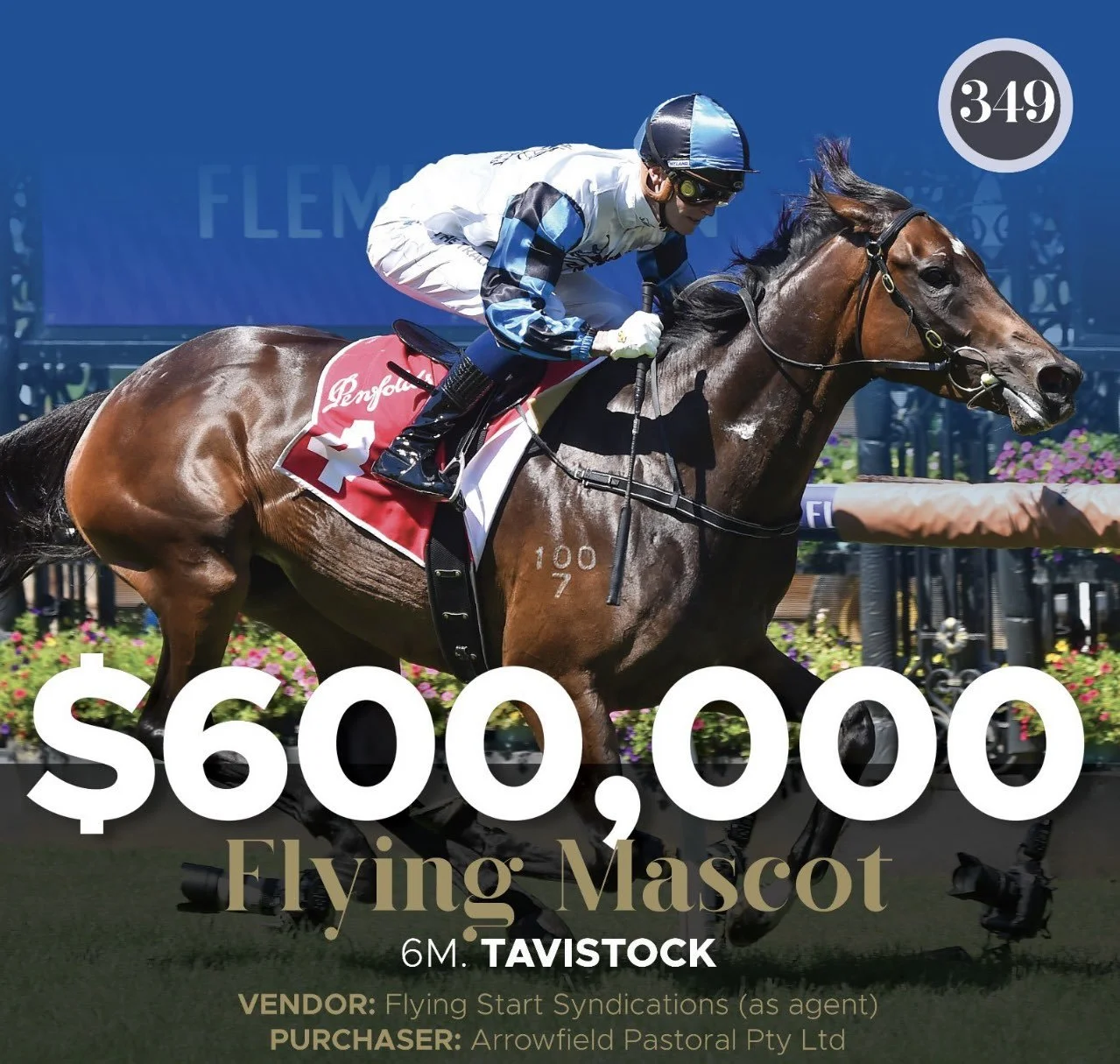 Flying Mascot the Star of the Show — Pinhook Bloodstock International