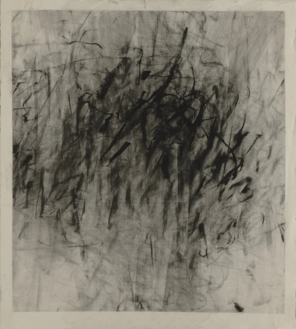 drawings — lindsey harald-wong