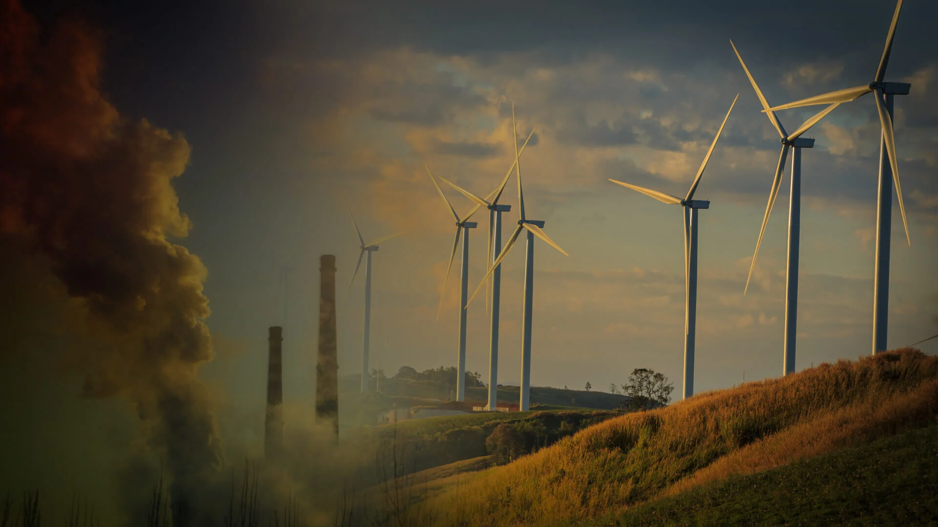 The Transition Pathway Initiative — Chronos Sustainability Ltd.