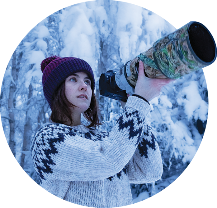 Wild Svalbard — Dani Connor Wild