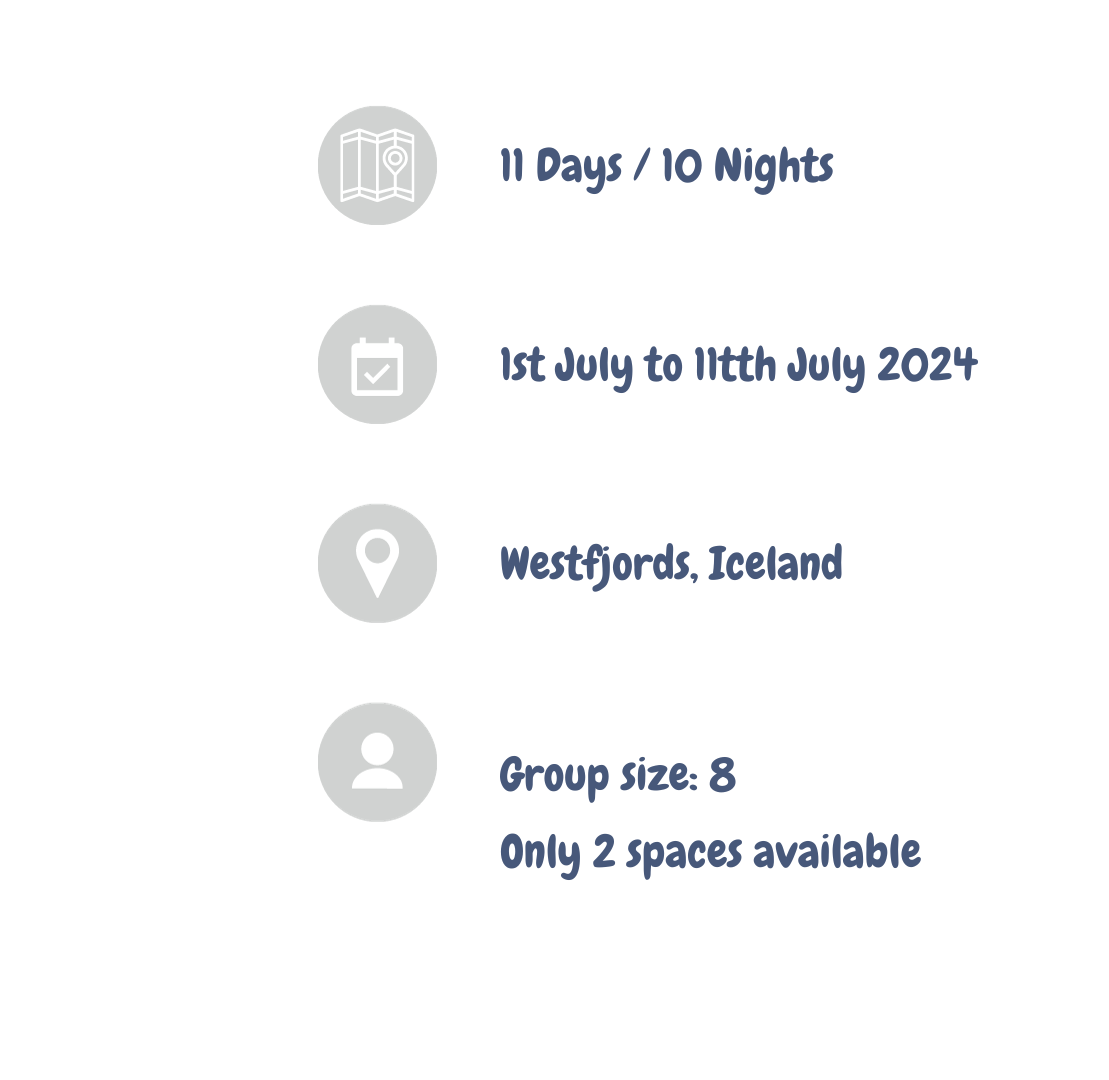 Wild Iceland Summer — Dani Connor Wild