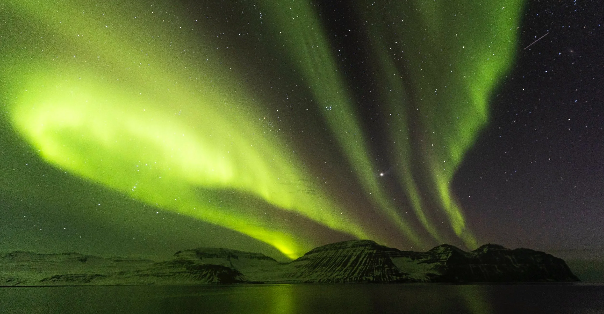 Wild Iceland 2026 — Dani Connor Wild