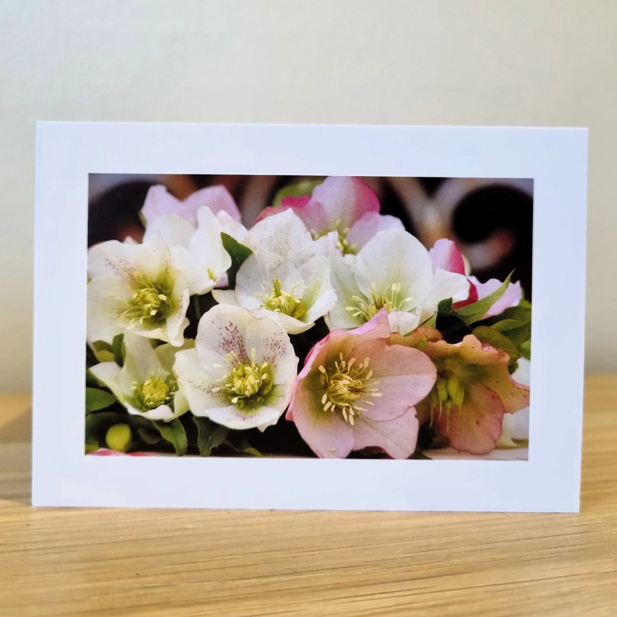 Small Cards — Renmark Flower House