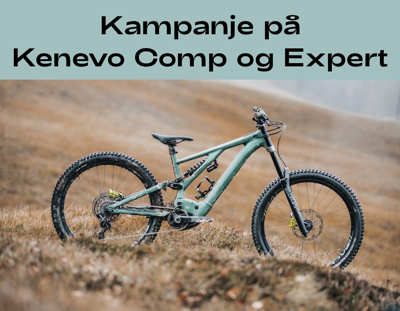 Velo City Oslo - Specialized Concept Store