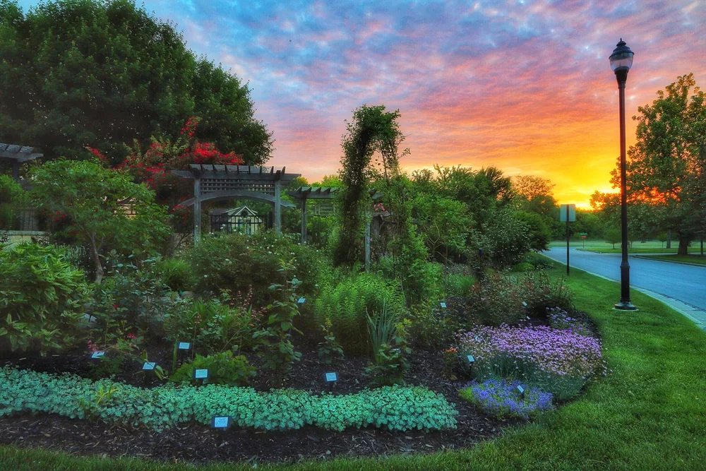 Open Garden Events — Rose Innovations