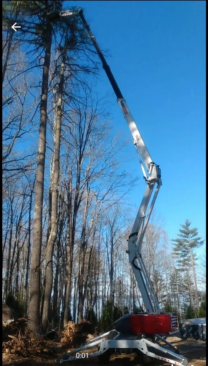 Photos — Whitney Tree Service