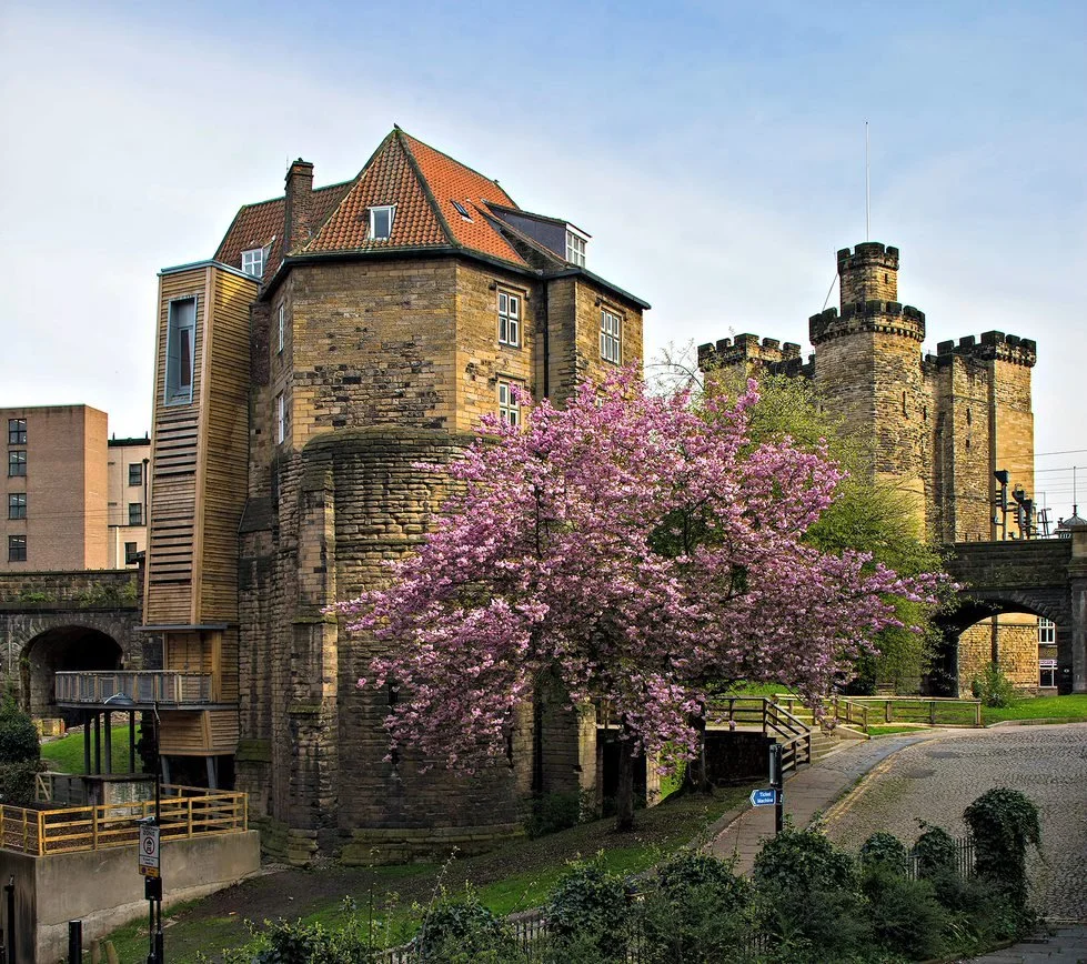 Visit Us — Newcastle Castle