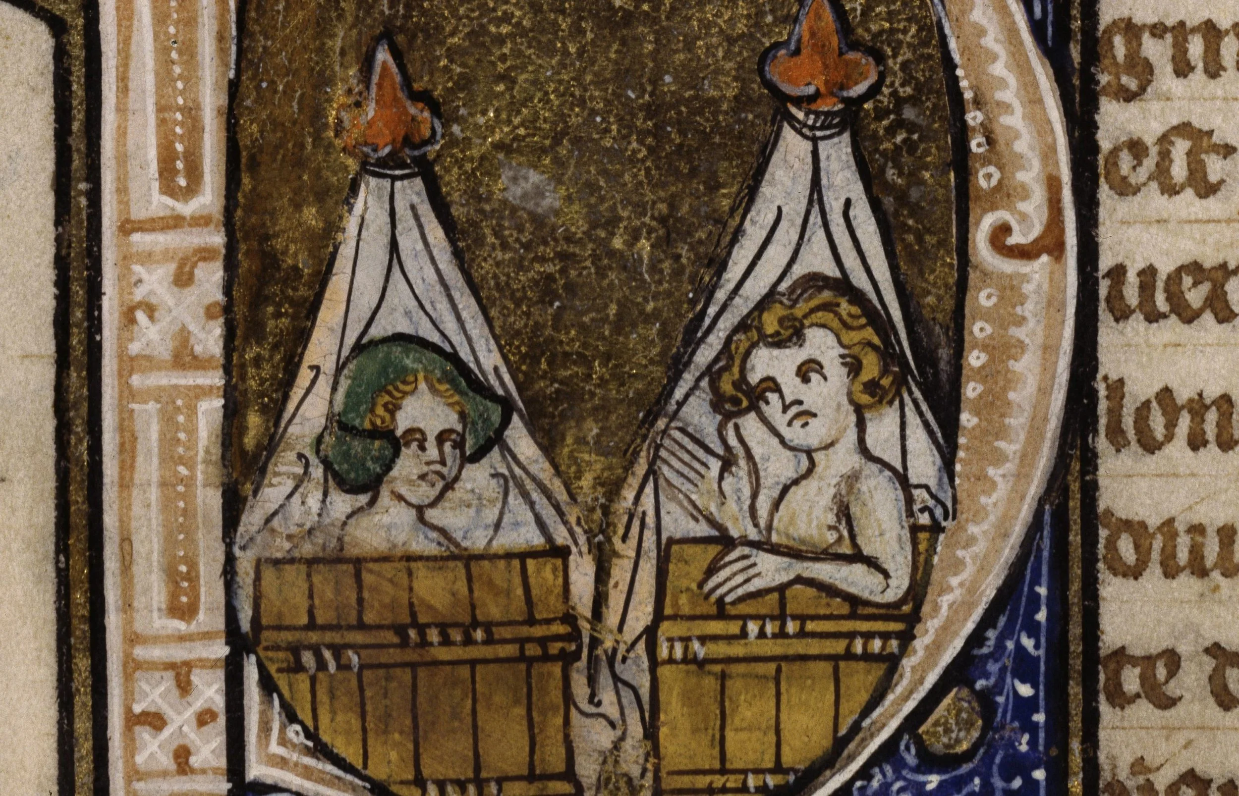 Medieval Hygiene — Newcastle Castle