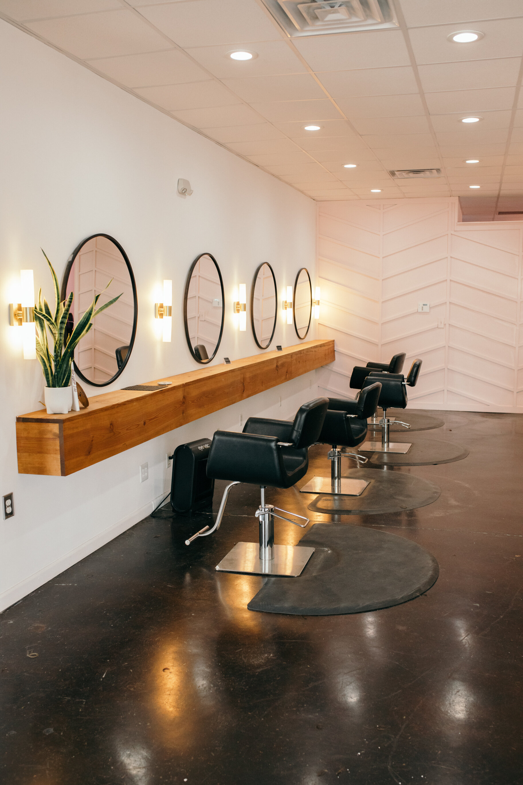 The Studio — Mane XVIII