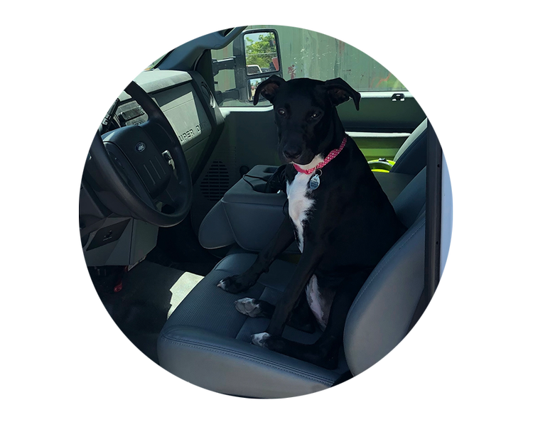 Our Team — Florida Beach Raker