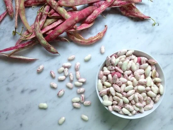 Zuppa di Pasta e Fagioli {Fresh Shell Bean and Pasta Soup} — Domenica Cooks
